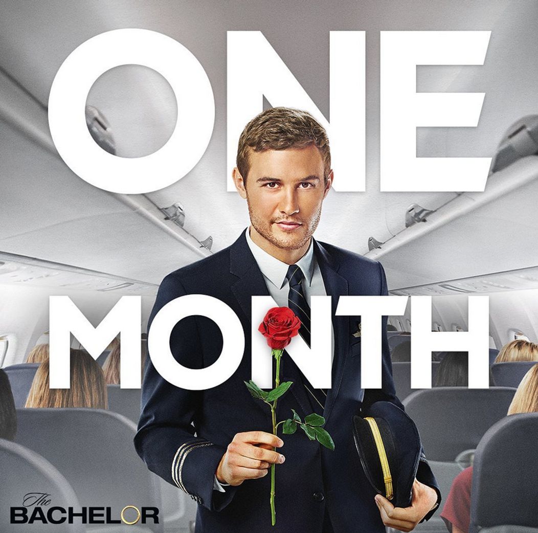 Fotogalerie - Soutěžící Bachelor | TV Nova