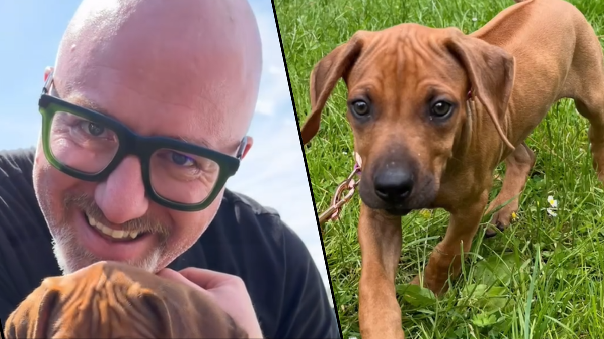 Jan Holík z Ulice si pořídil roztomilé štěňátko. Takhle spolu přežívají ...