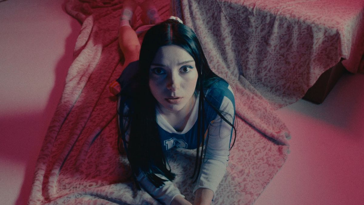 Pam Rabbit: Nominace na Objev roku 2024 | TV Nova