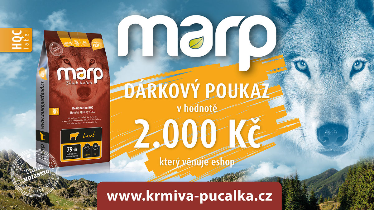 Kdo vyhrál s Loskutákem velké balení krmiva pro domácí mazlíčky? | TV Nova