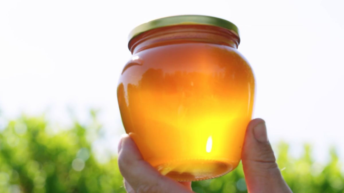 Produkty z medu | TV Nova