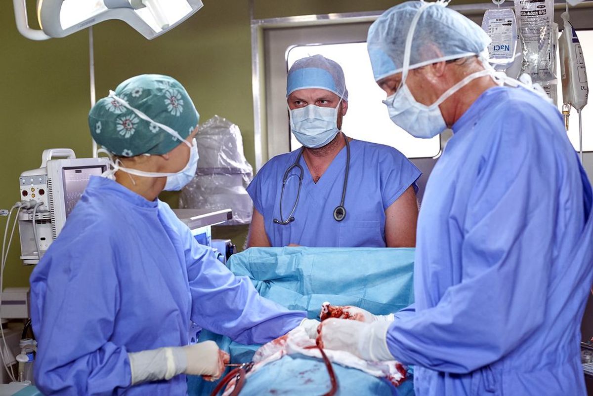 Viděli jste: Smrt na operačním stole a Mázlovy trable s vagínou! | TV Nova