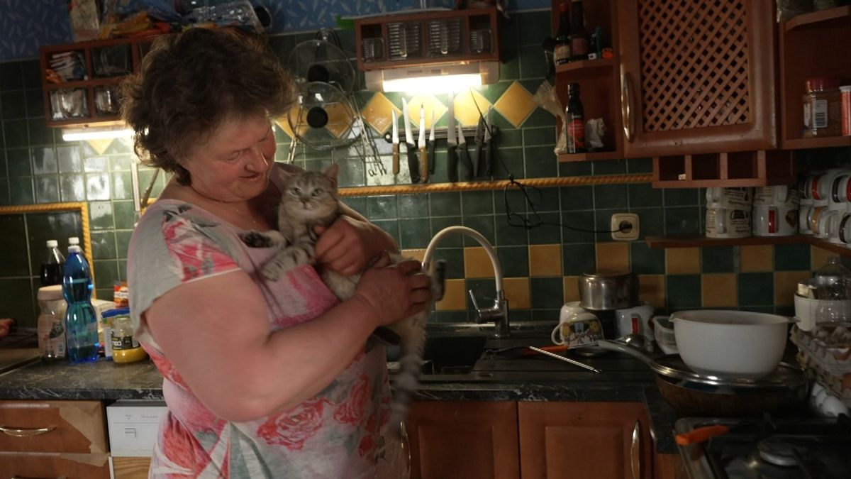 f84f35be-2c86-4b66-8081-c44a97e6da08