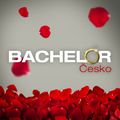 Bachelor | Nejnovější videa | TV Nova