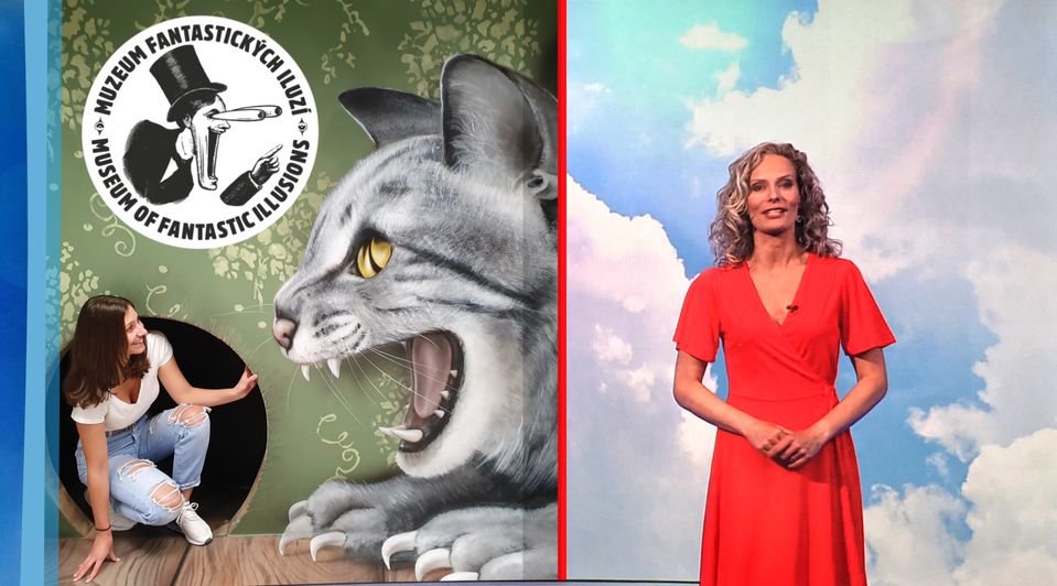 Pořady | Články | TV Nova